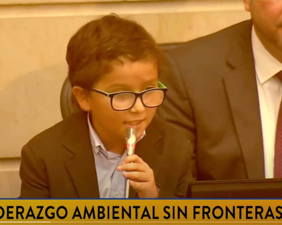 Guardianes por la vida